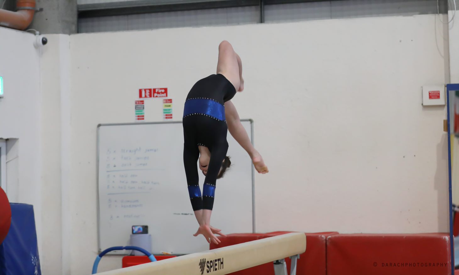 WAG BM 02 – Move – Grow – Thrive